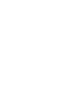 Safeguarding