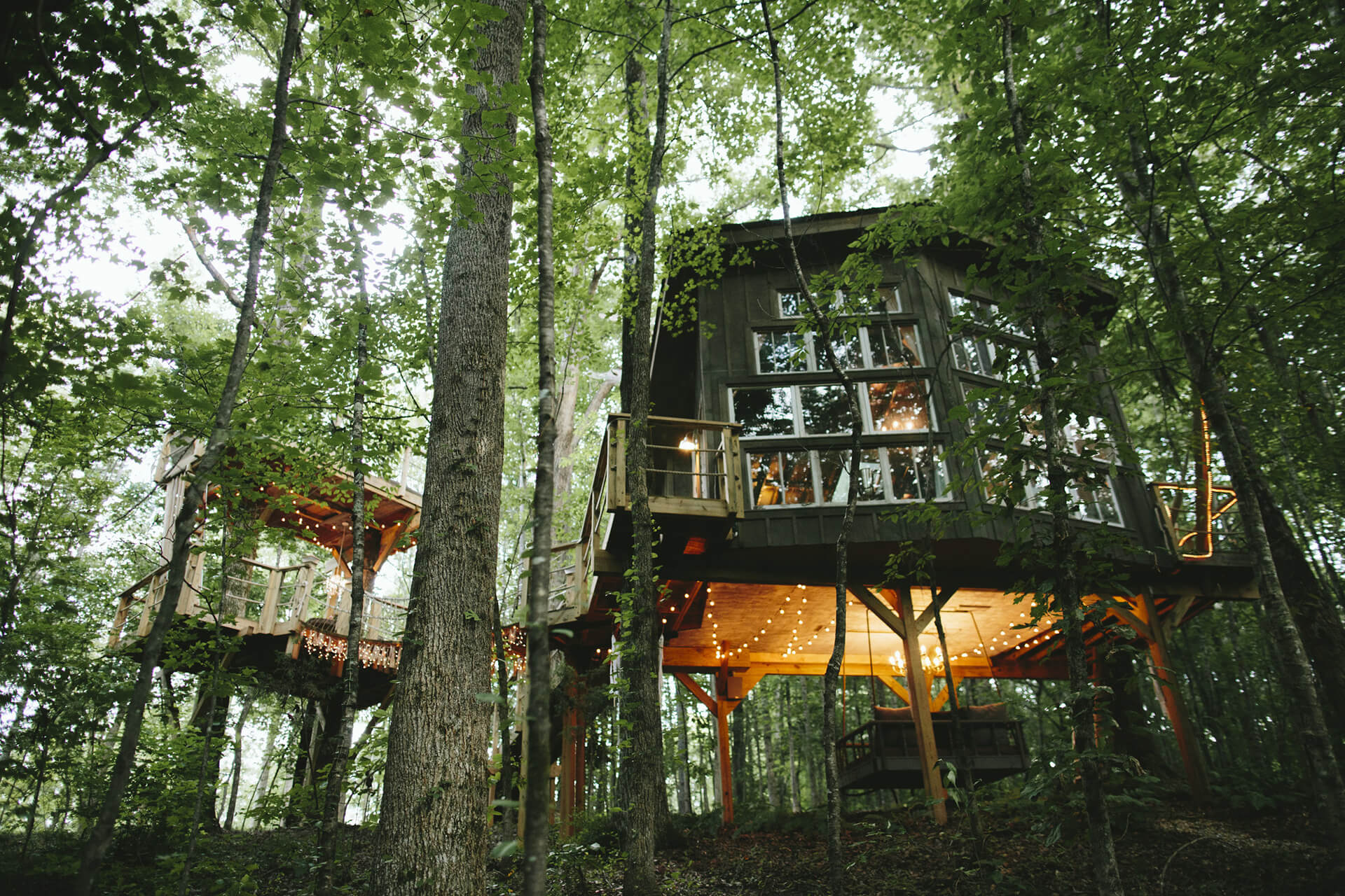 Our Story | Bolt Farm Treehouse