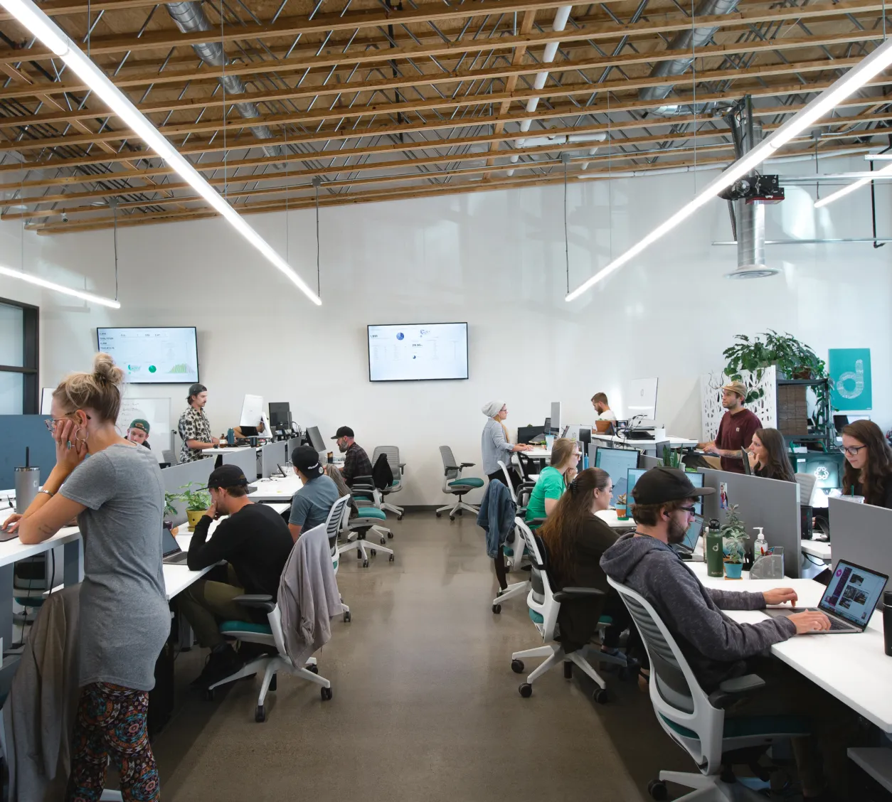 Dutchie | Cannabis Technology Careers