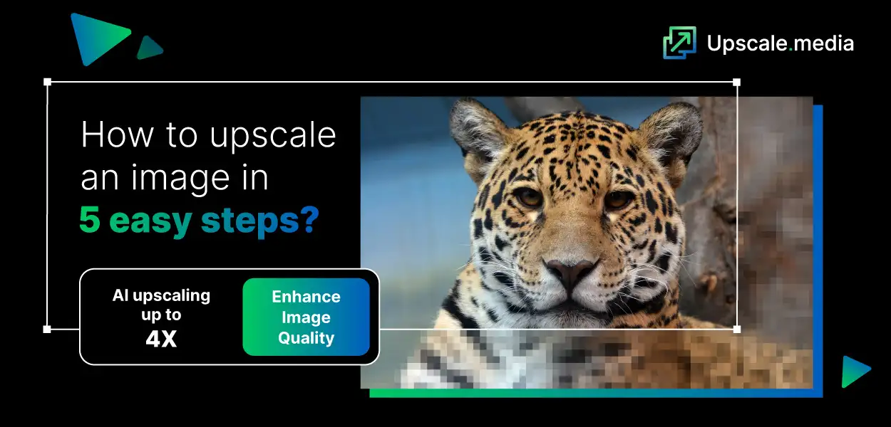 How to Upscale an Image in 5 Easy Steps?