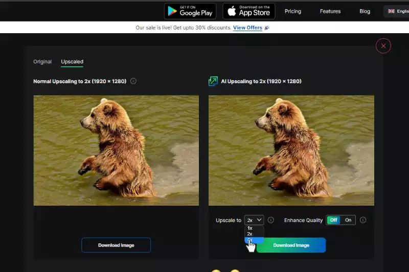 Upscale.media vs Image Upscaler: Which is Better to Upscale
