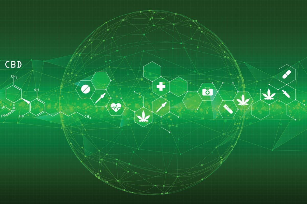 The fundamentals of data in cannabis • Dutchie
