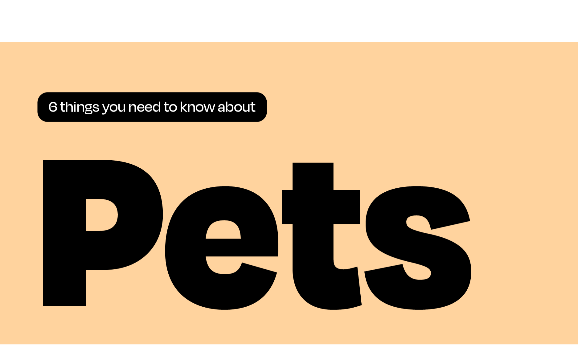 6 Things to Know About Pets 🐶🐱
