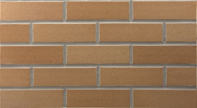 Discover the Unique Beauty of Endicott Brick at Edwards Stone