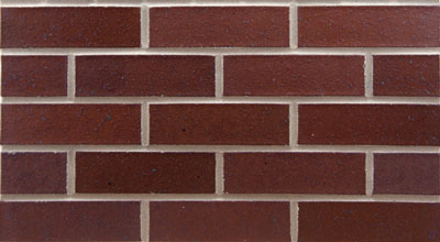 Discover the Unique Beauty of Endicott Brick at Edwards Stone