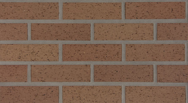 Discover the Unique Beauty of Endicott Brick at Edwards Stone