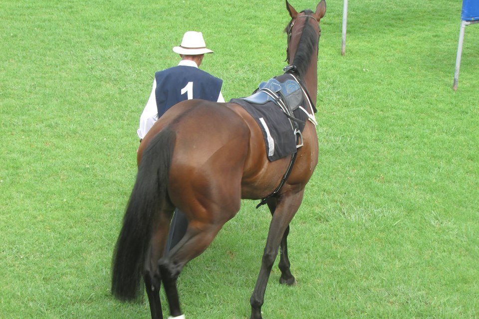 Quirindi Jockey Club | The Show Course of Country Racing