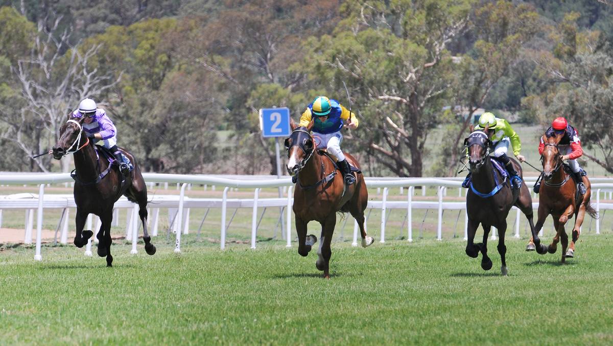 Quirindi Jockey Club | The Show Course of Country Racing