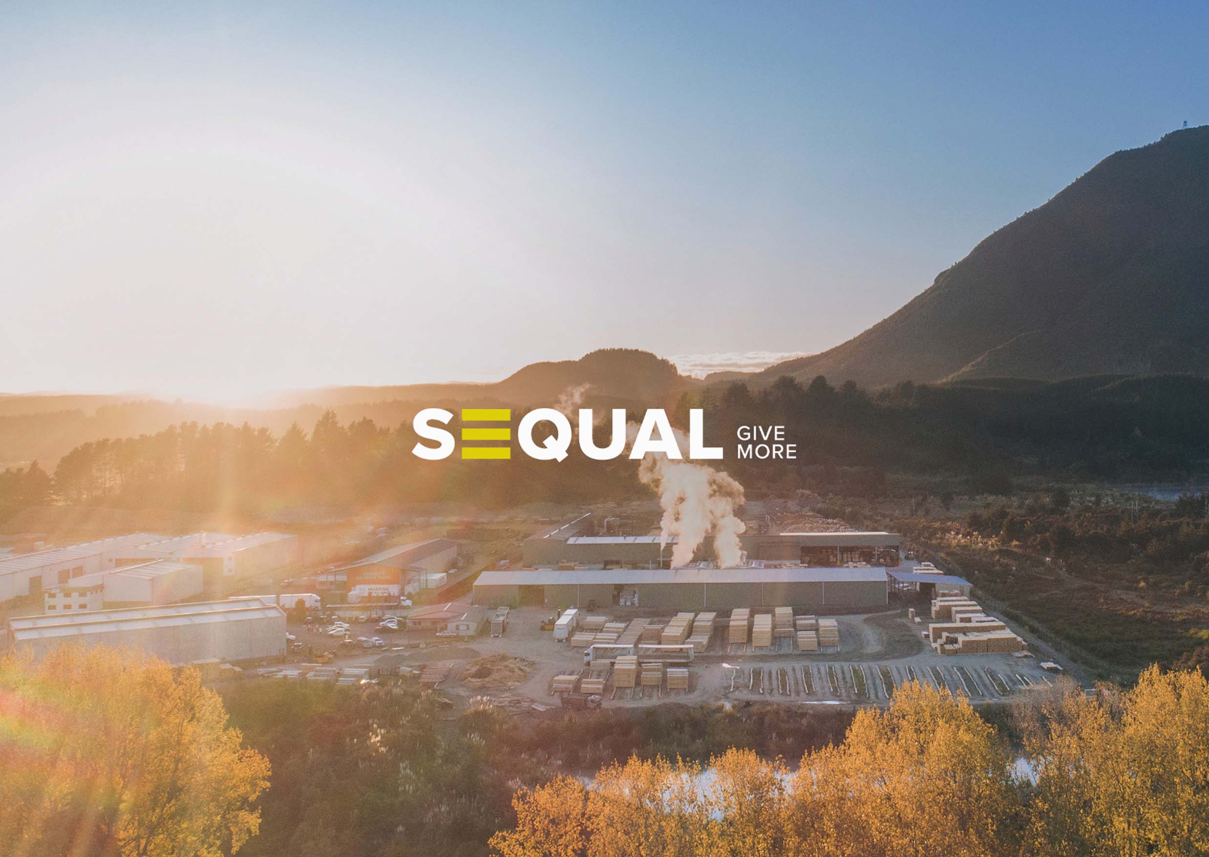 Sequal | Branding - Culture - Website | Woods Agency New Zealand
