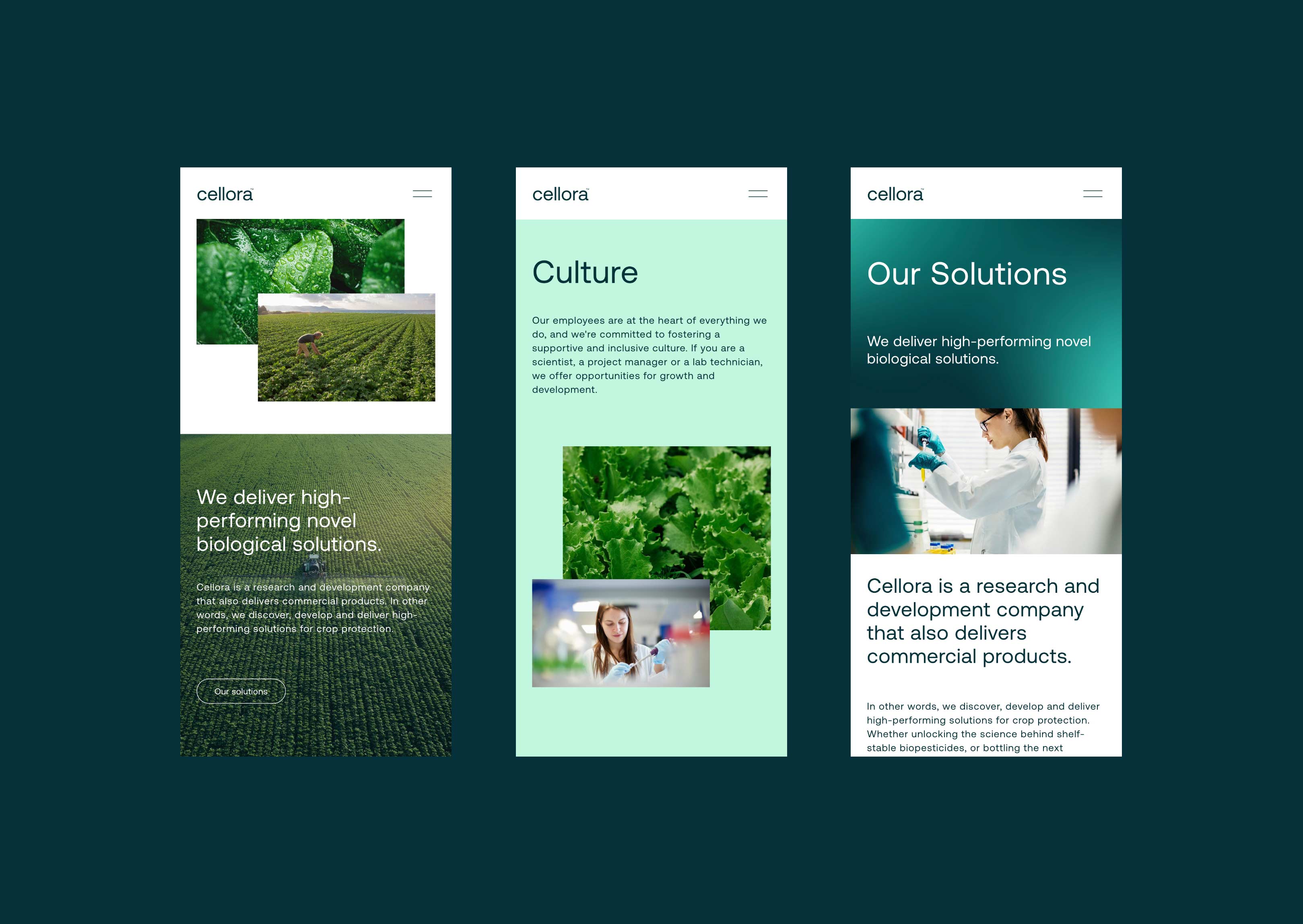 Cellora | Branding by WOODS Agency | Strategy - Branding - Website ...