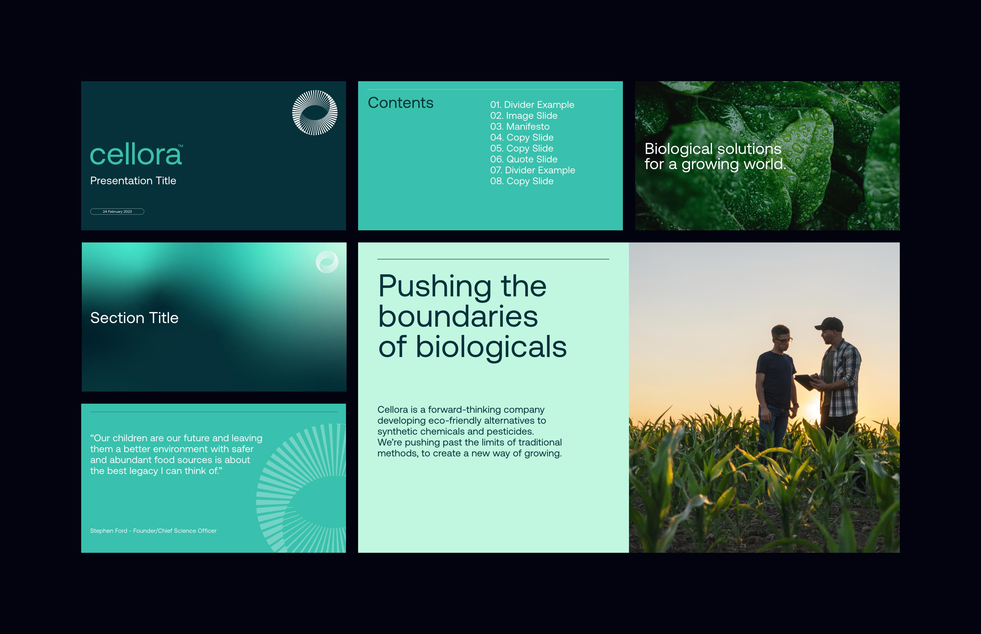 Cellora | Branding by WOODS Agency | Strategy - Branding - Website ...