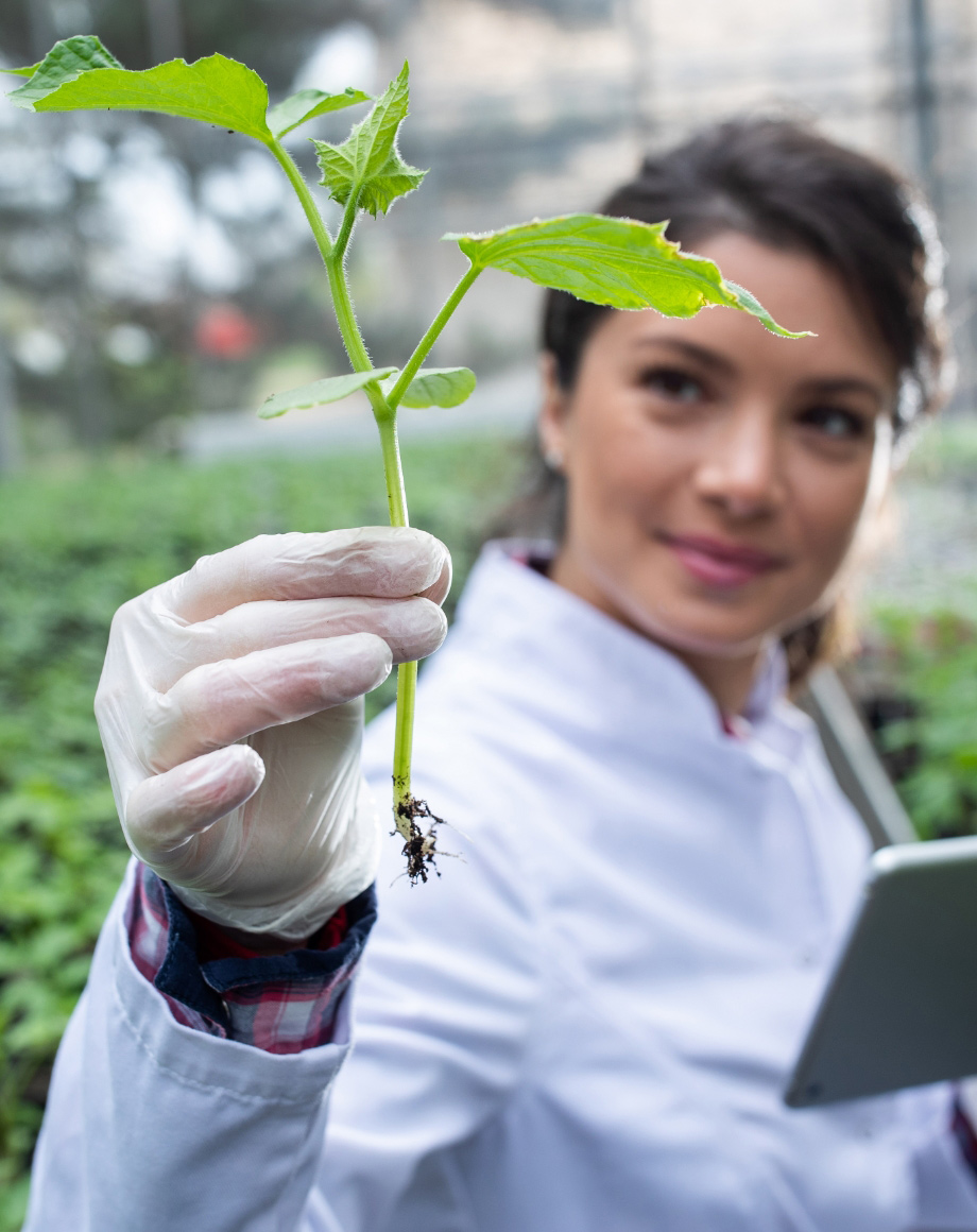 Cellora | Branding by WOODS Agency | Strategy - Branding - Website ...