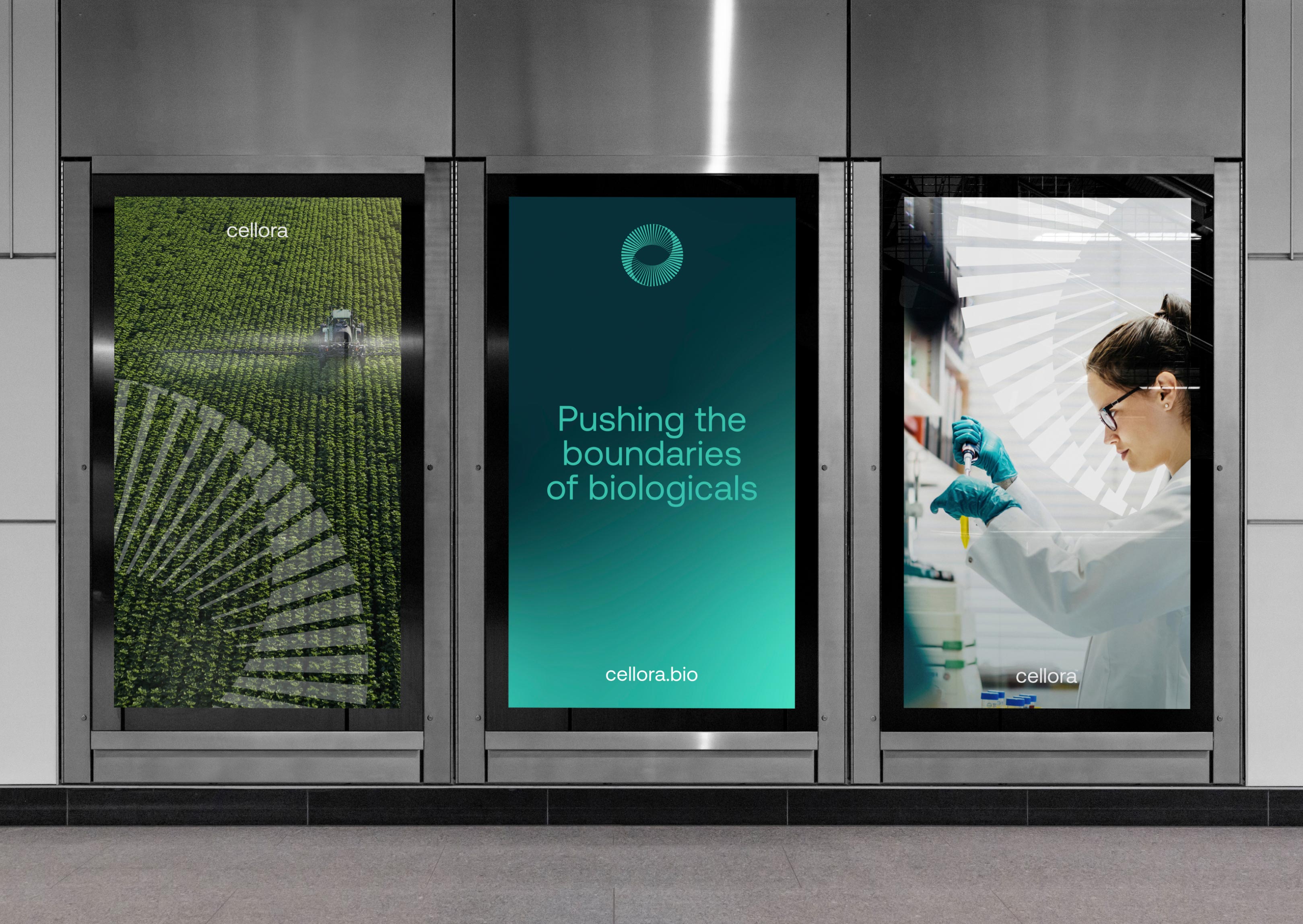 Cellora | Branding by WOODS Agency | Strategy - Branding - Website ...