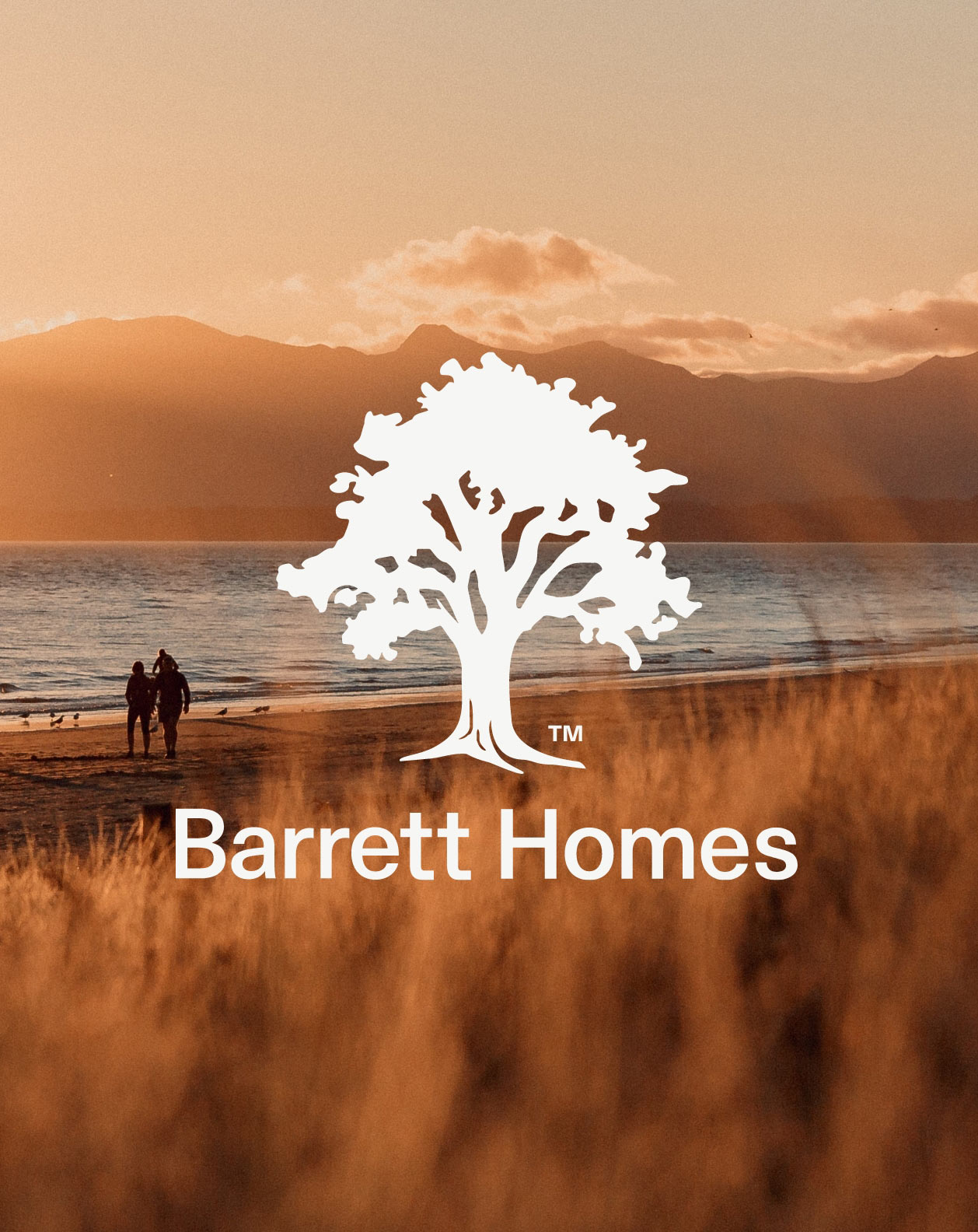 Work | WOODS Agency | Branding | Creative | Design | Content | Tauranga, NZ