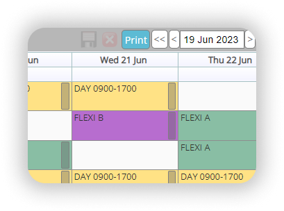 How do I print the Rota?