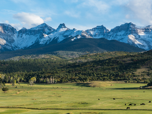 Security Solutions for Banks | Locations