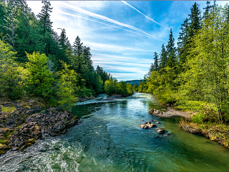 About Cook Solutions Group