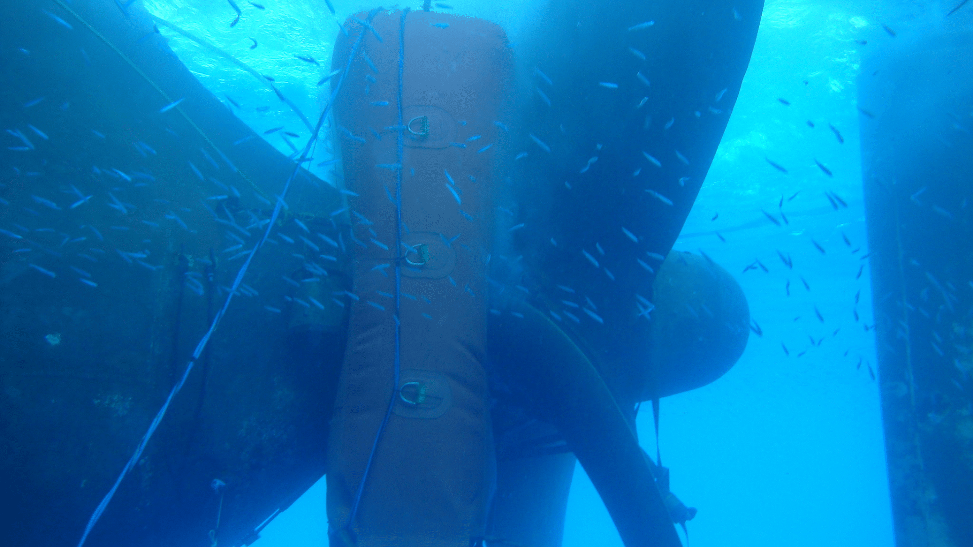 Underwater Seal Replacements | Subsea Global Solutions