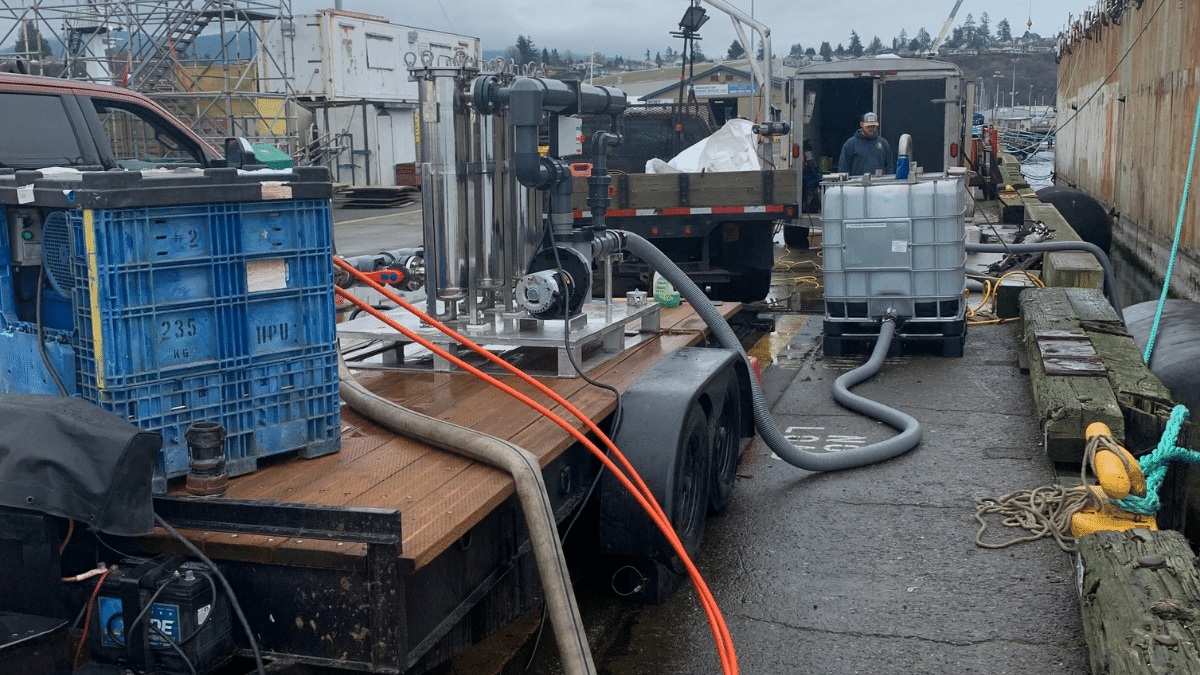 Underwater Hull Cleaning, Hull Grooming, & Niche Area Cleaning | Subsea ...