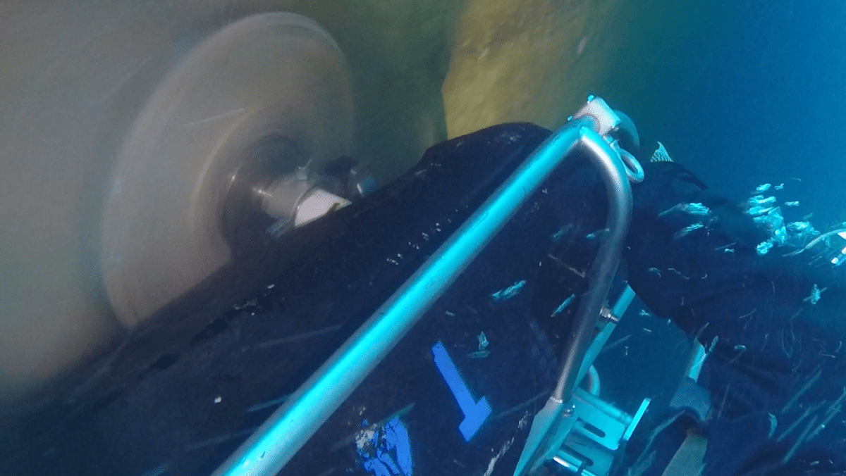 Underwater Hull Cleaning, Hull Grooming, & Niche Area Cleaning | Subsea ...