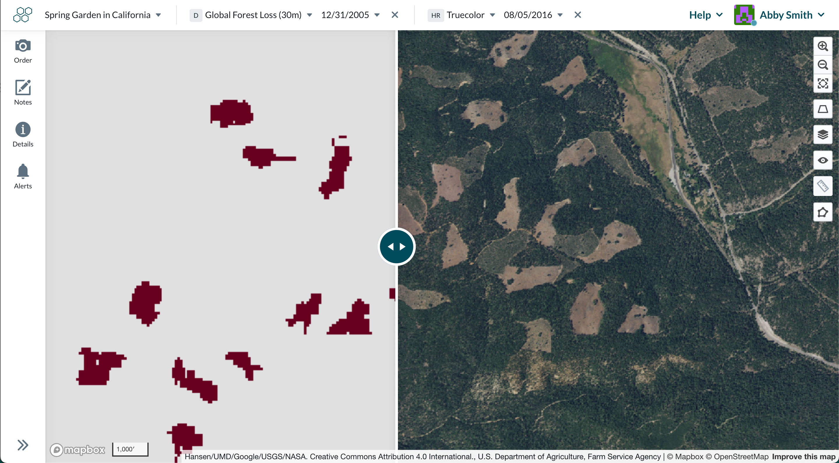Global 21st-century Forest Loss dataset now in Lens - Upstream Tech