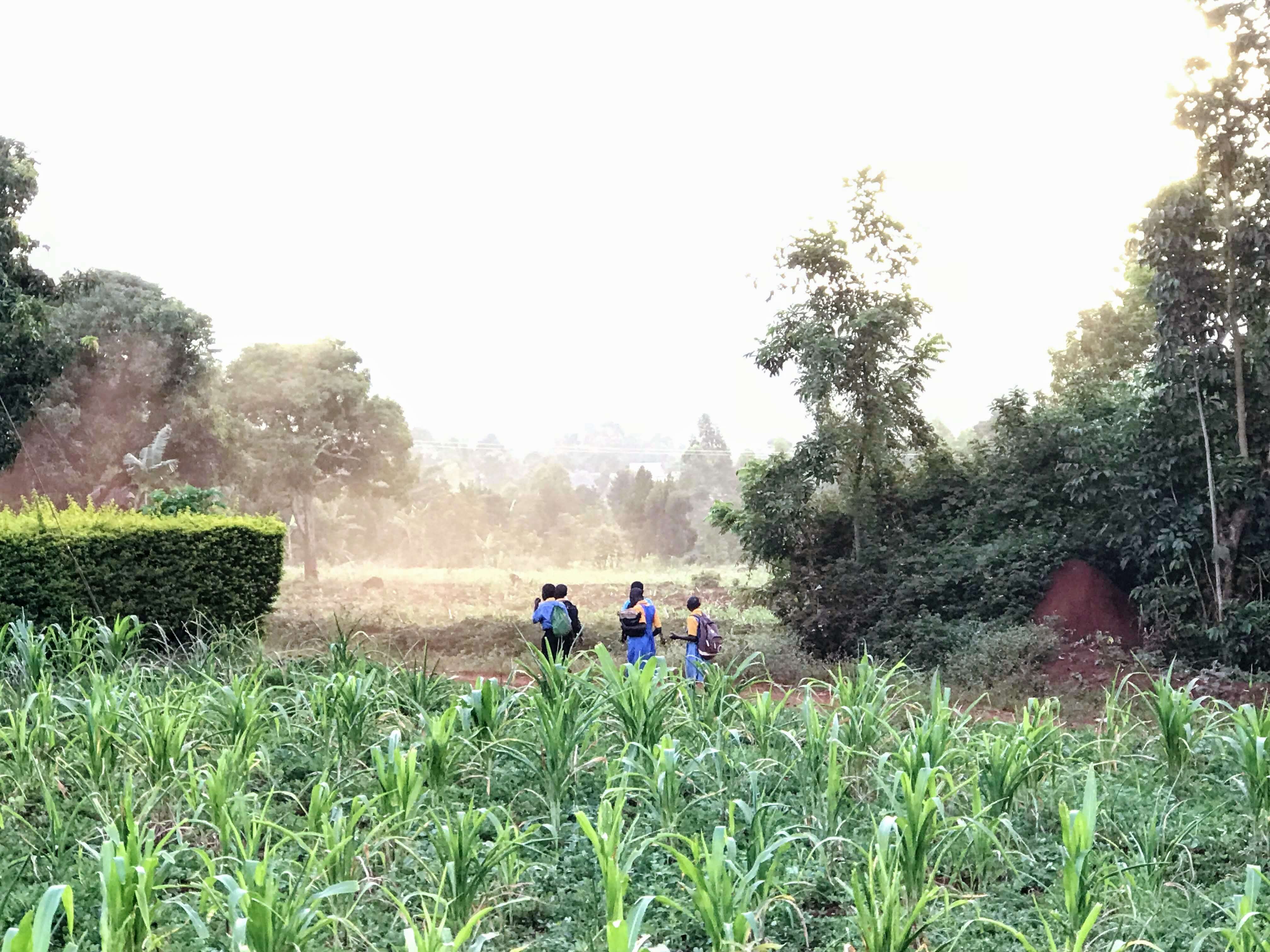 Uganda | Hungry For Life