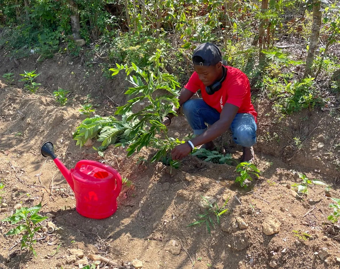 Agricultural development | Hungry For Life
