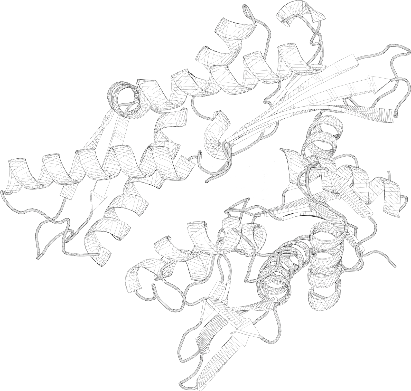 Protai | Proteomics & AI Drug Discovery