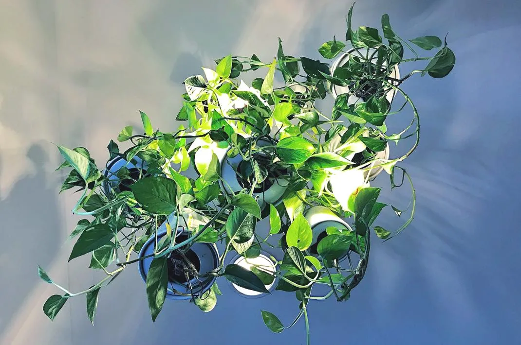 East Perth | Beyond Rest | Float Tank Perth Just Outside the CBD