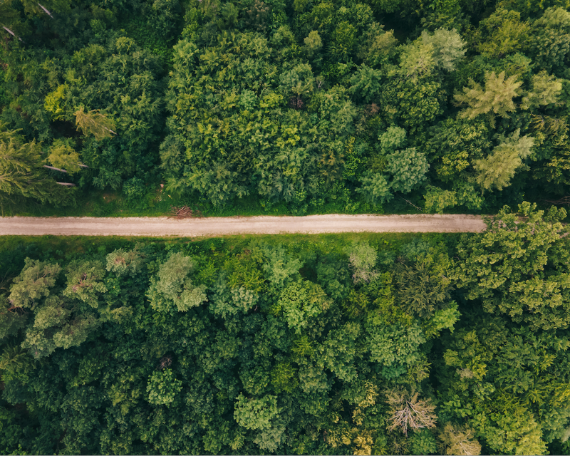 Scale up - Extra resources | Scale up | Major project | BehaviourWorks ...