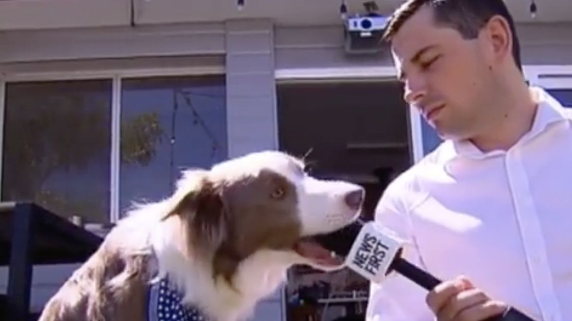 Audience research - common mistakes (Part 1) | Blog | BehaviourWorks ...