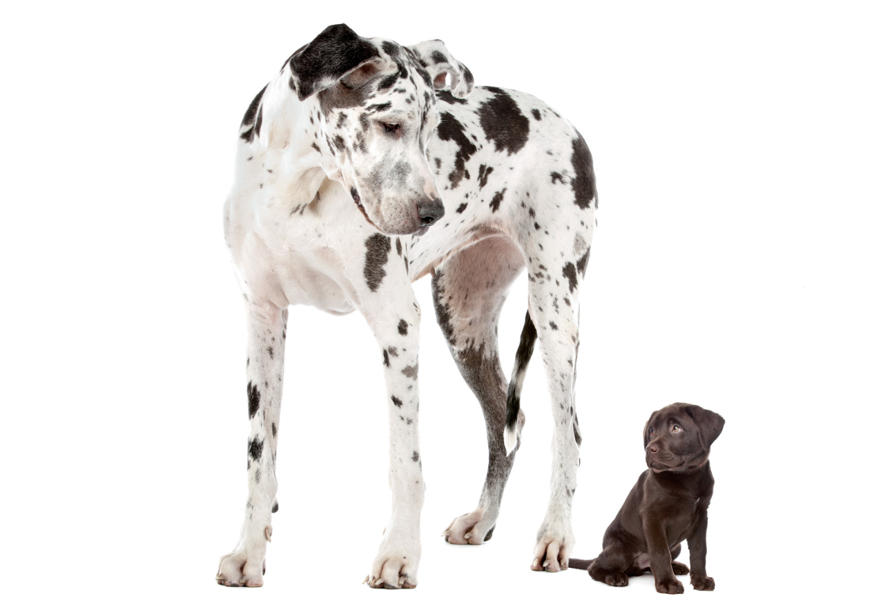 Nudging: What is it and how can we use it ‘FORGOOD’? | Blog ...