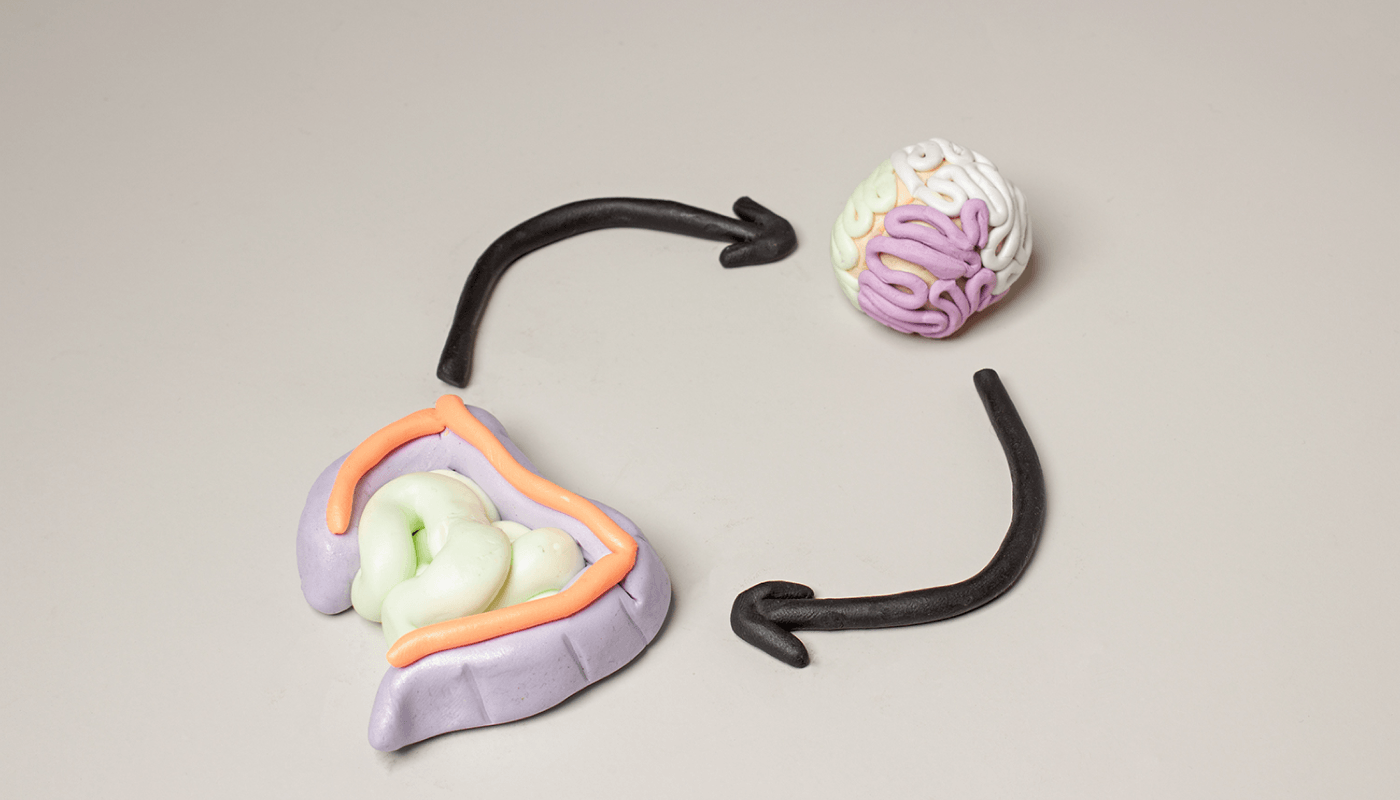 Ibs And Anxiety The Gut Brain Connection Symptoms And Treatments