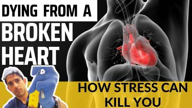Dying From a Broken Heart: 3 Ways Mental Stress & Anxiety Cause Death ...