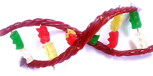 13 Easy & Fun STEM Experiments for Kids