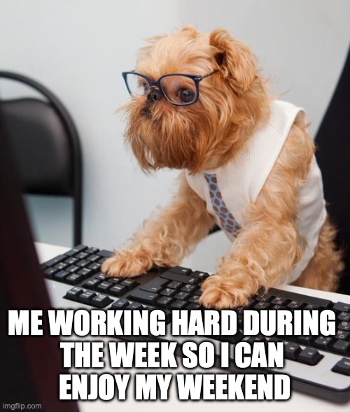 11 Coworker Memes To Send To Your Work Best Friend