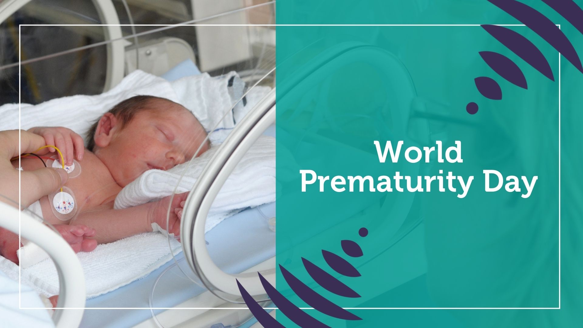 Chiltern Music Therapy | World Prematurity Day