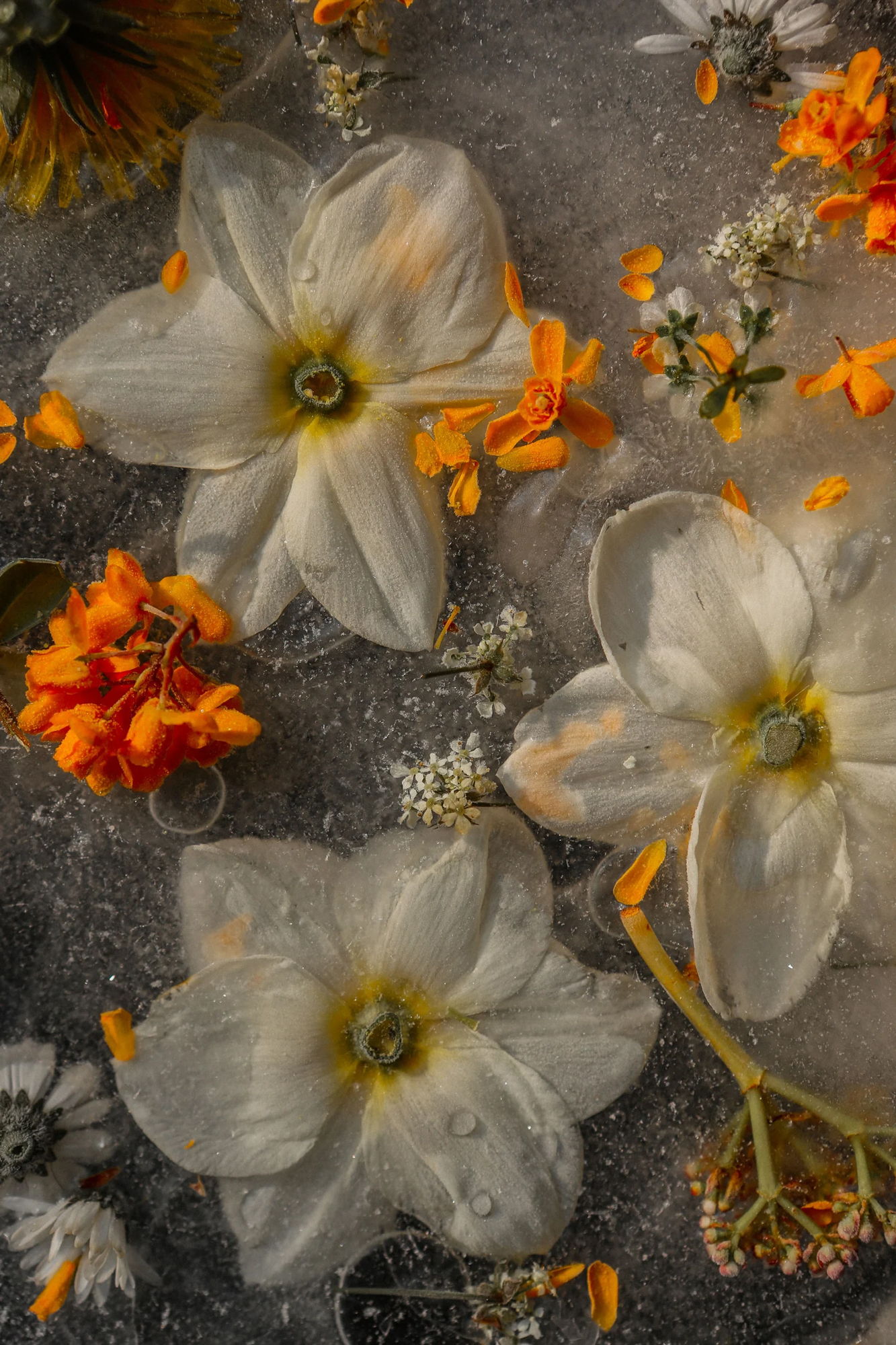 Joe Horner | Stories | ConsiderBeyond