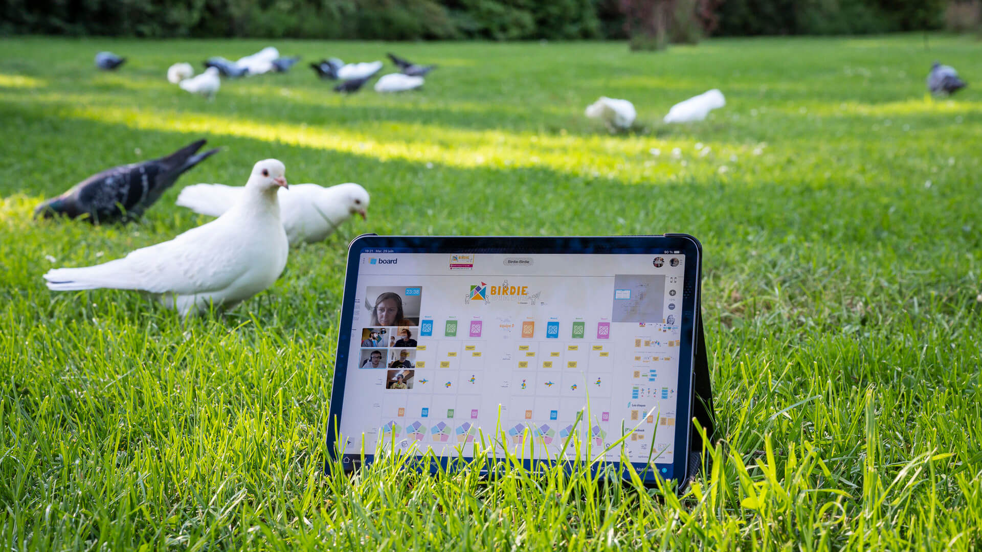 Birdie Birdie: a collaborative game to learn the Agile Scrum method ...