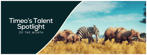 Timeo Performance - The Skills Factory for your performance