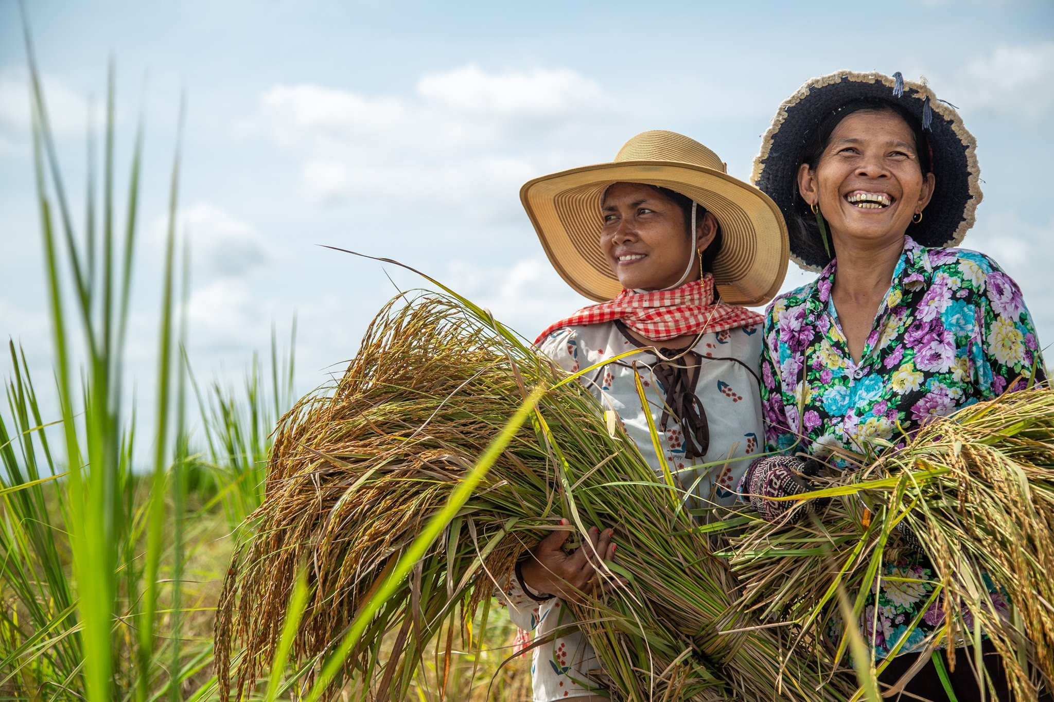 About | WeHero - Empowering the world to change the world