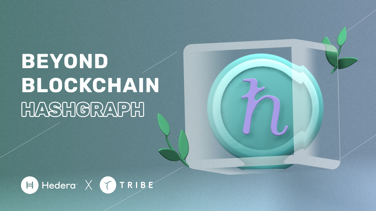 Beyond Blockchain: Hashgraph – The HBAR Foundation and Tribe Join Forces to Bring Developers a ...