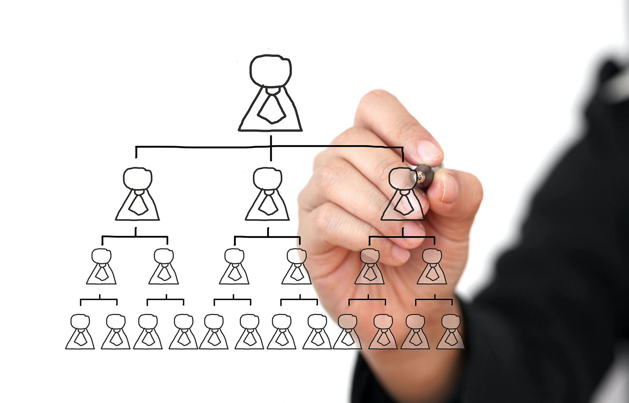 5 Tips: How to Build a Perfect Org Chart in a Few Minutes