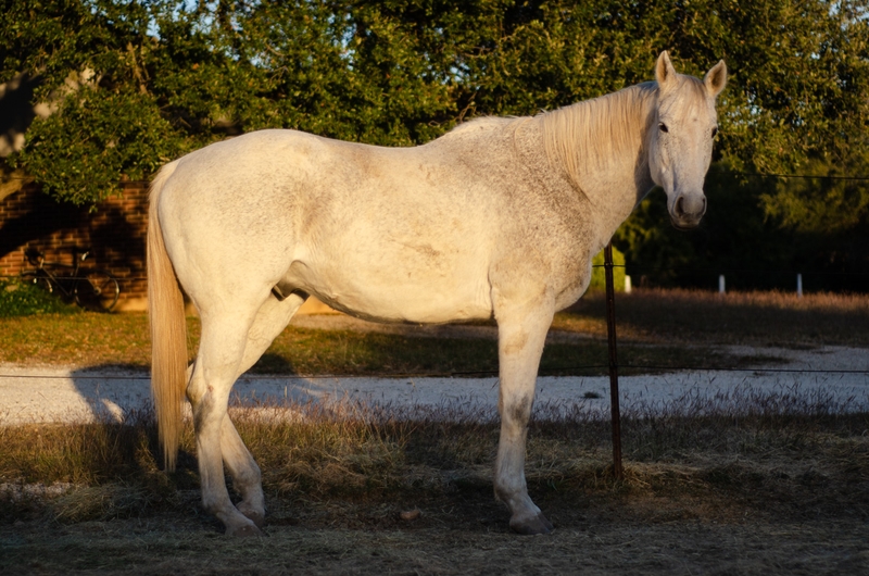 Meet the LOPE Racing Warriors