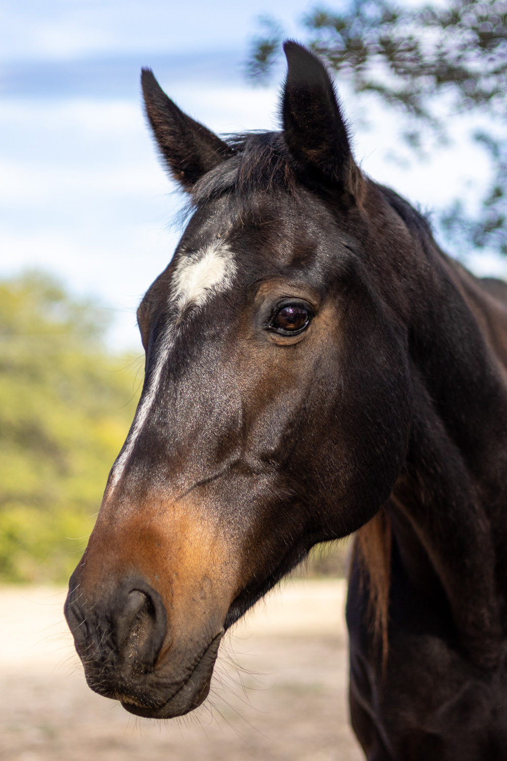 Meet the LOPE Racing Warriors