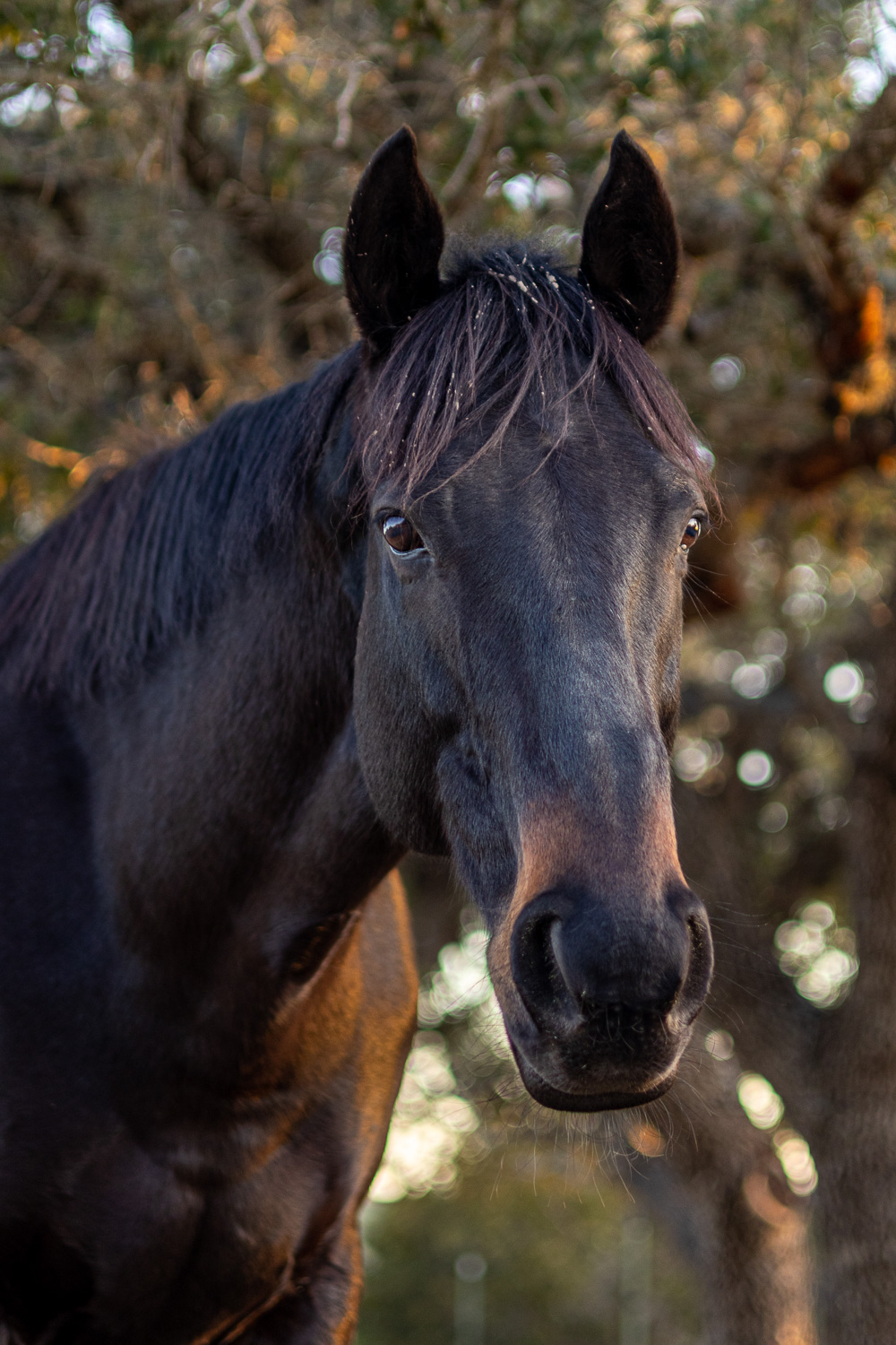 Meet the LOPE Racing Warriors