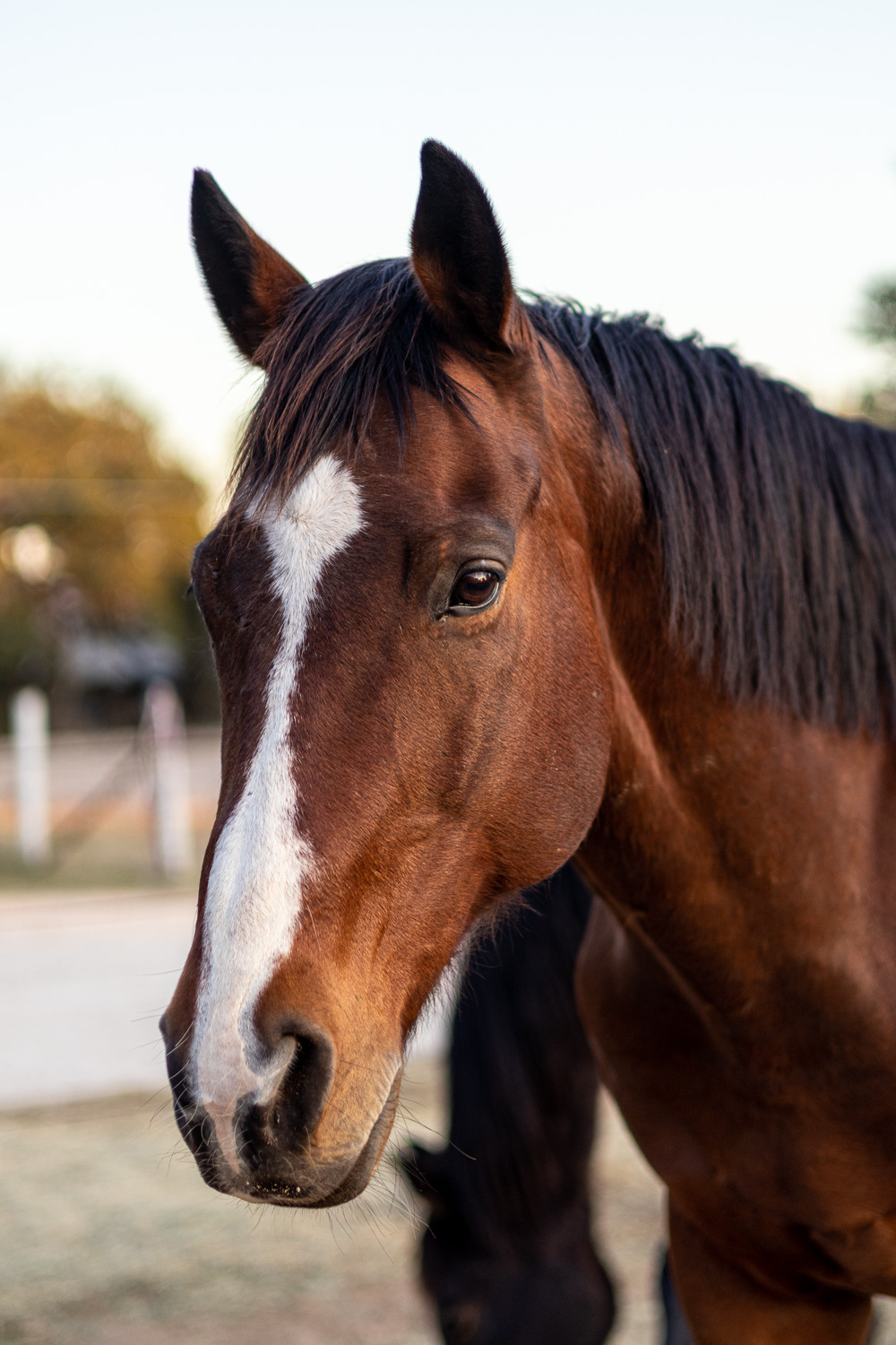Meet the LOPE Racing Warriors