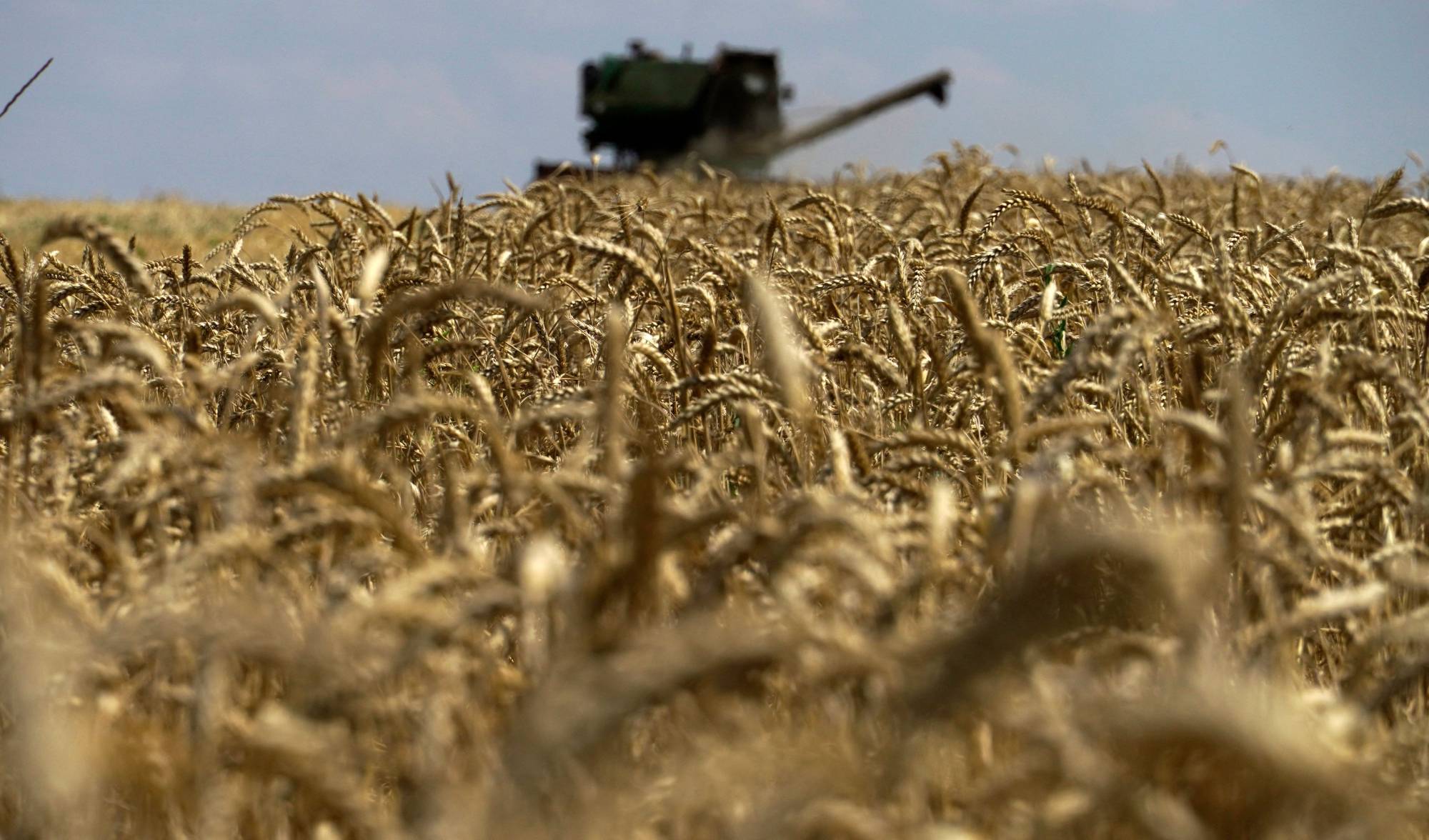 Idaho Wheat Commission