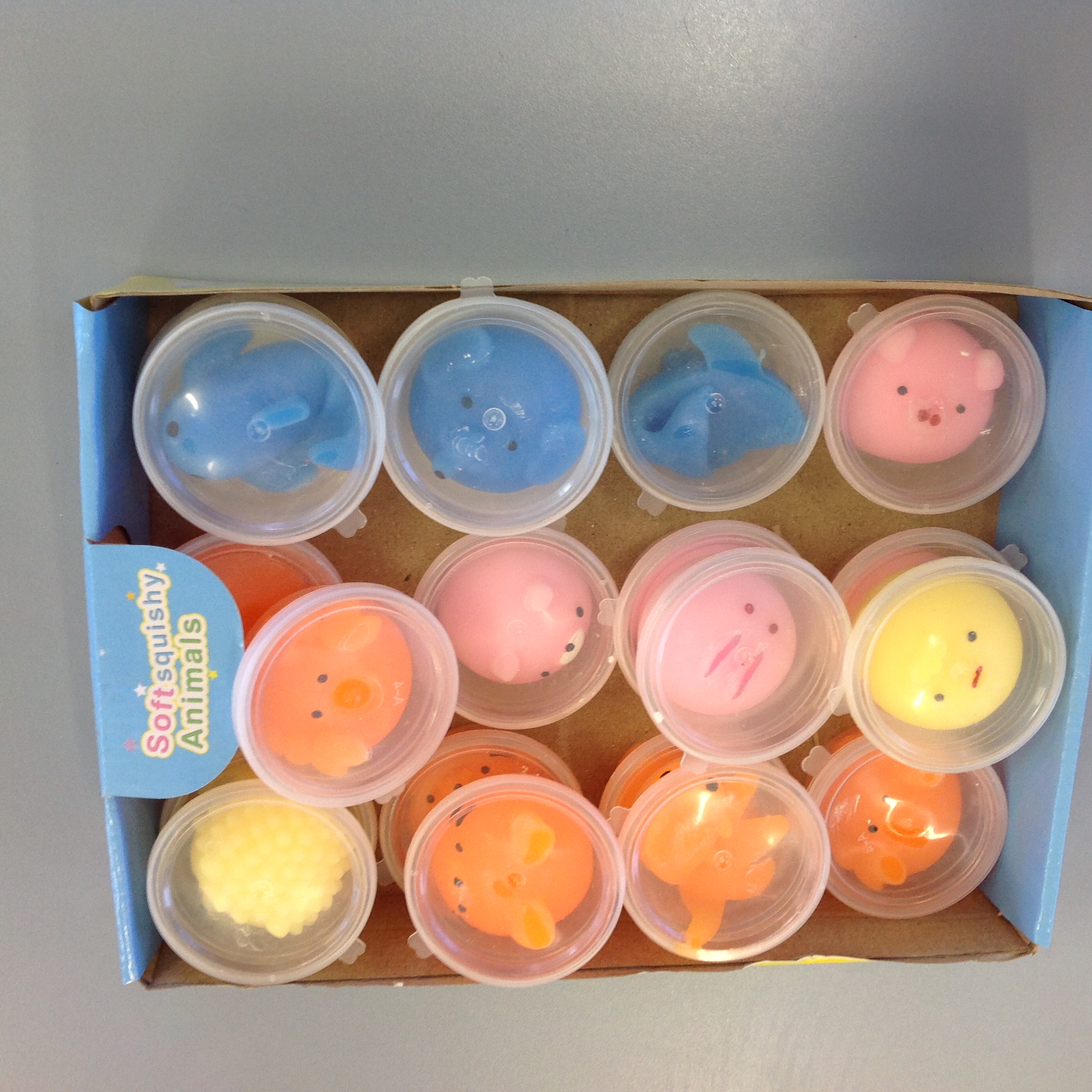 JELLY ANIMALS IN CONTAINERS - Biala Peninsula