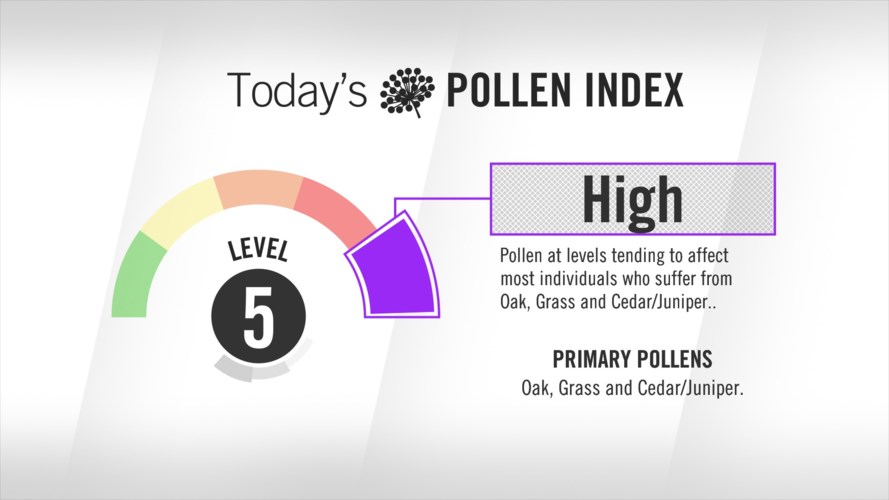 Pollen Levels for Digital Signage